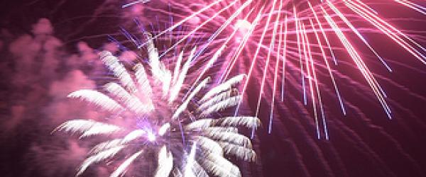 Celebrate Freedom with a Pink Trash Can. | Pink Cart